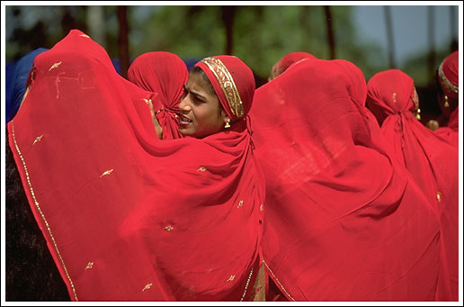 Coffee, Culture, Environment & Governance | Coorg.com