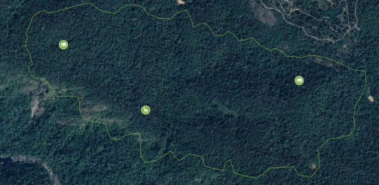Coorg Jungle Trek