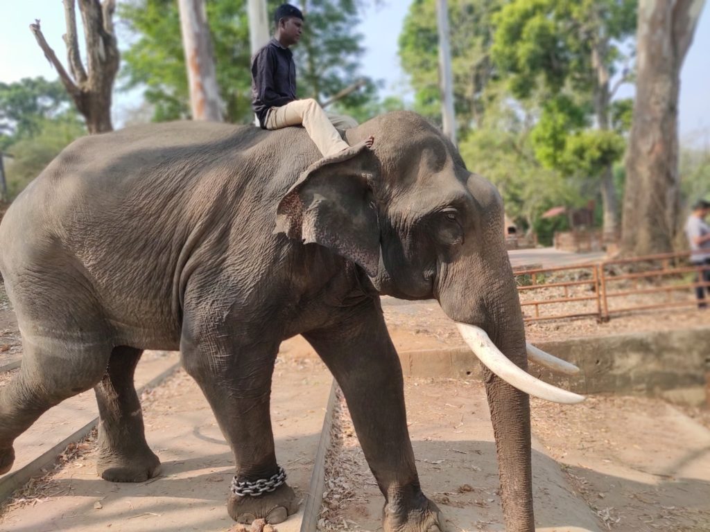 Places to Visit at Coorg